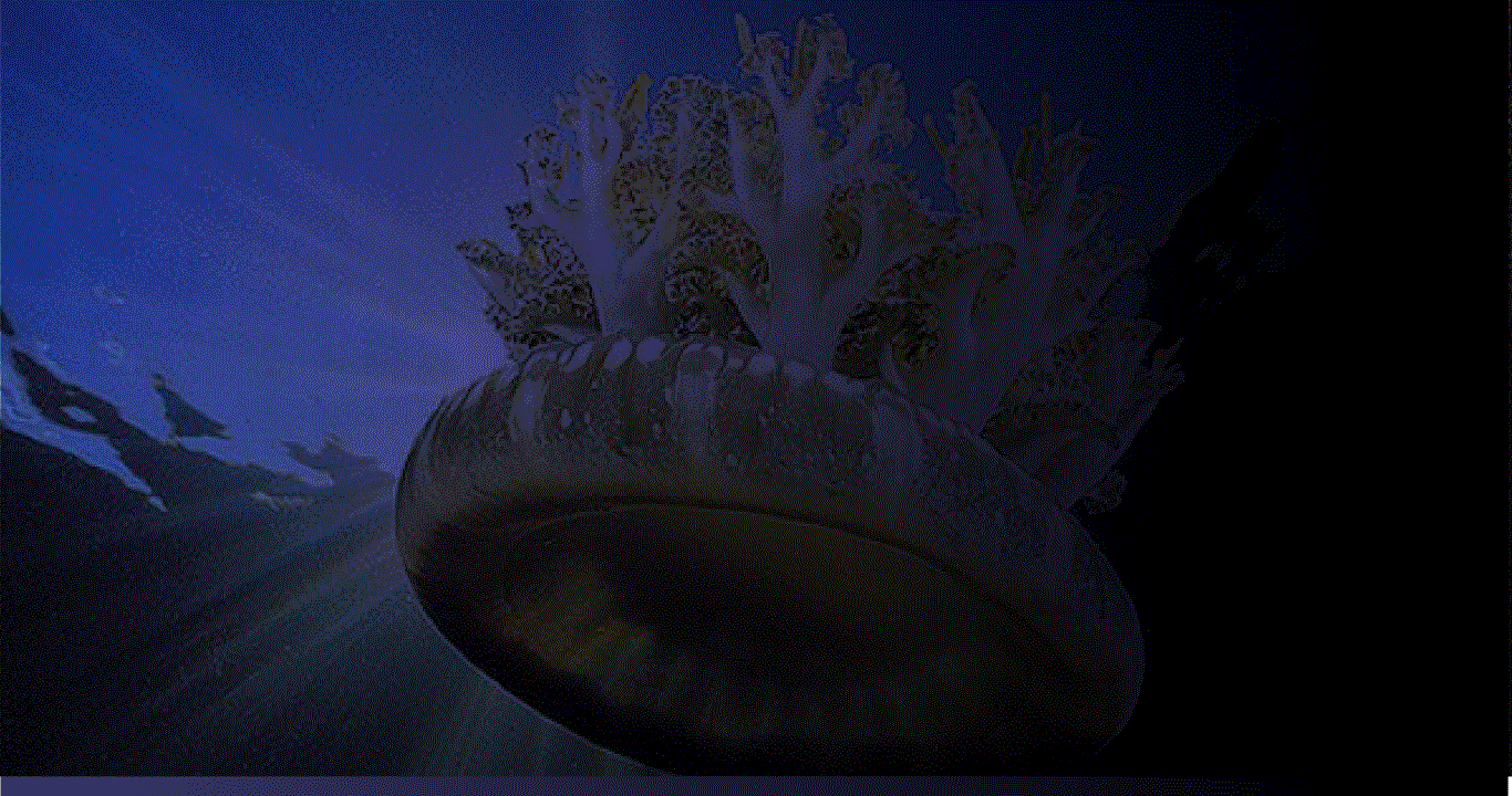 medusa-1 – Medina Lab